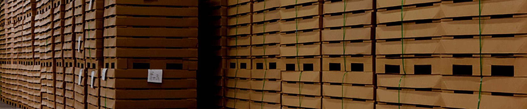 Corrugated Pallets Hurst